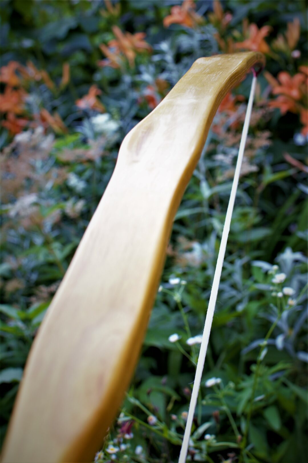 Gallery | Red Hill Archery